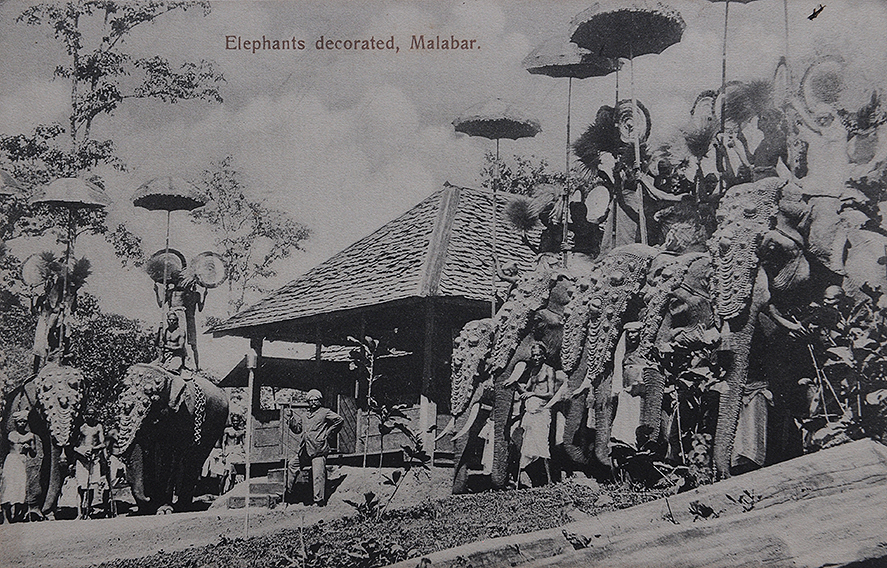 Cochin & Kerala Postcards Archives - Past-India